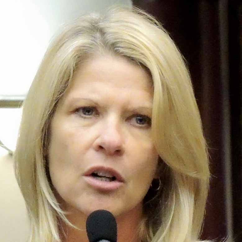 Heroes and Zeros 2023 - Stop Corporate Greed In Florida